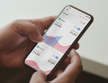 Cash Flow Monitor - Cash Flow Management Tool
