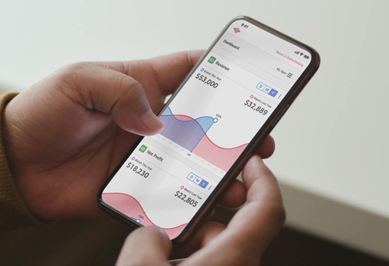 Cash Flow Monitor - Cash Flow Management Tool